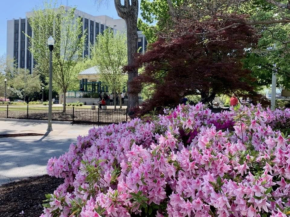 Contact | Judge Mike Jacobs